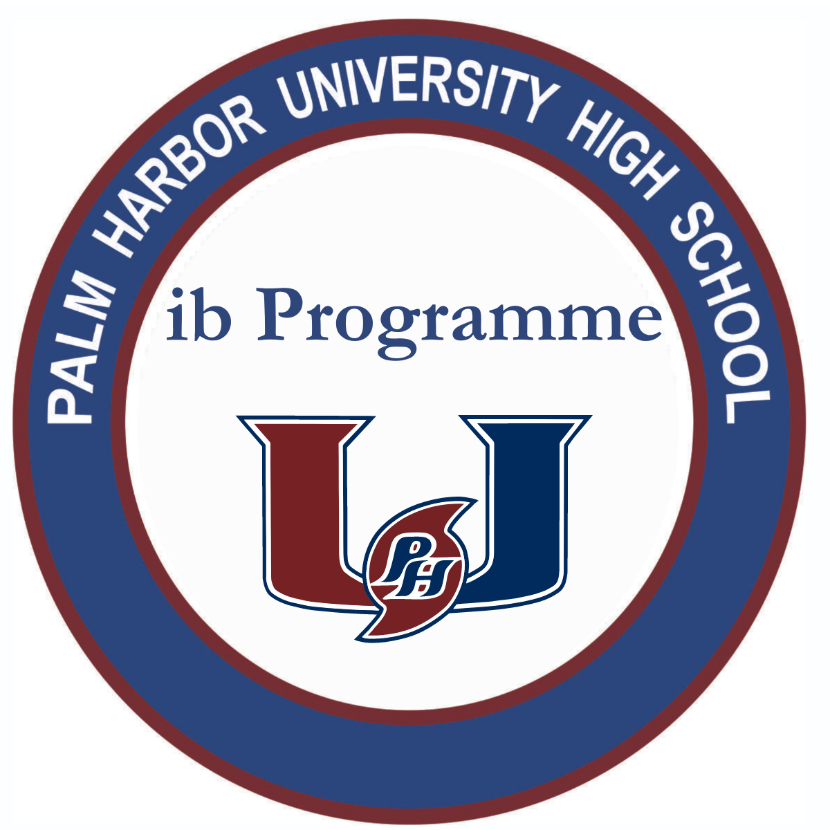 Blue Diamond Logo Level 5